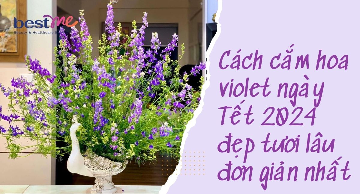 Cách cắm hoa violet ngày Tết đẹp tươi lâu đơn giản nhất