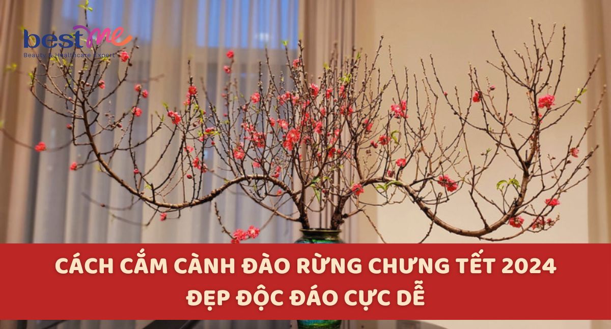 Cách cắm cành đào rừng chưng Tết 2024 đẹp độc đáo cực dễ