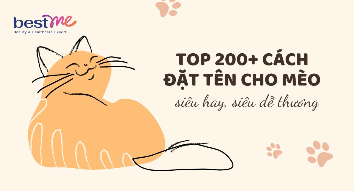 TOP 200+ cách đặt tên cho mèo siêu hay, siêu dễ thương