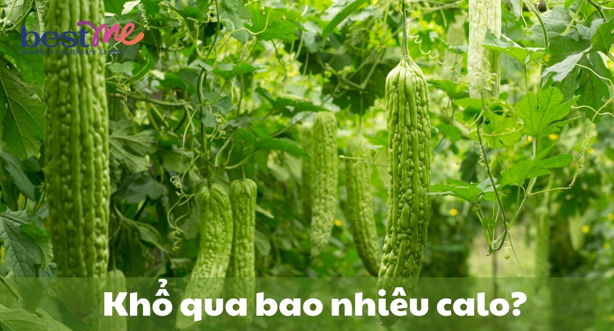 Khổ qua bao nhiêu calo? Lợi ích tuyệt vời mà khổ qua mang lại