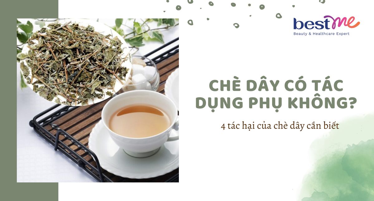 Chè dây có tác dụng phụ không? 4 tác hại của chè dây cần biết