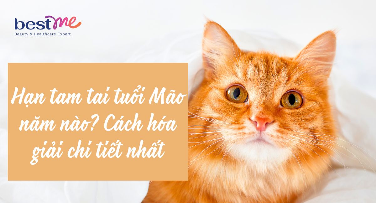 Hạn tam tai tuổi Mão năm nào? Cách hóa giải chi tiết nhất